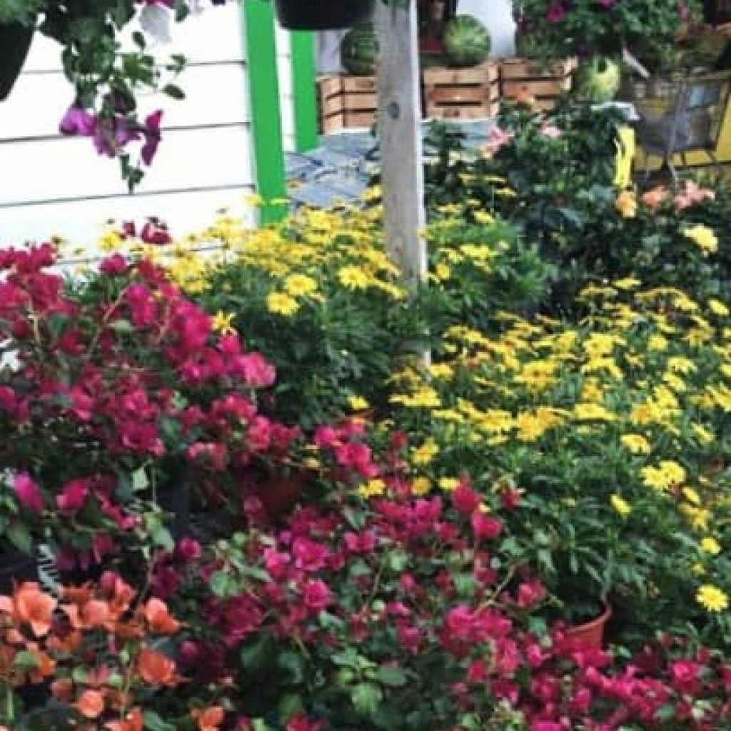 The Farm Patch Market - Kendra Hudson