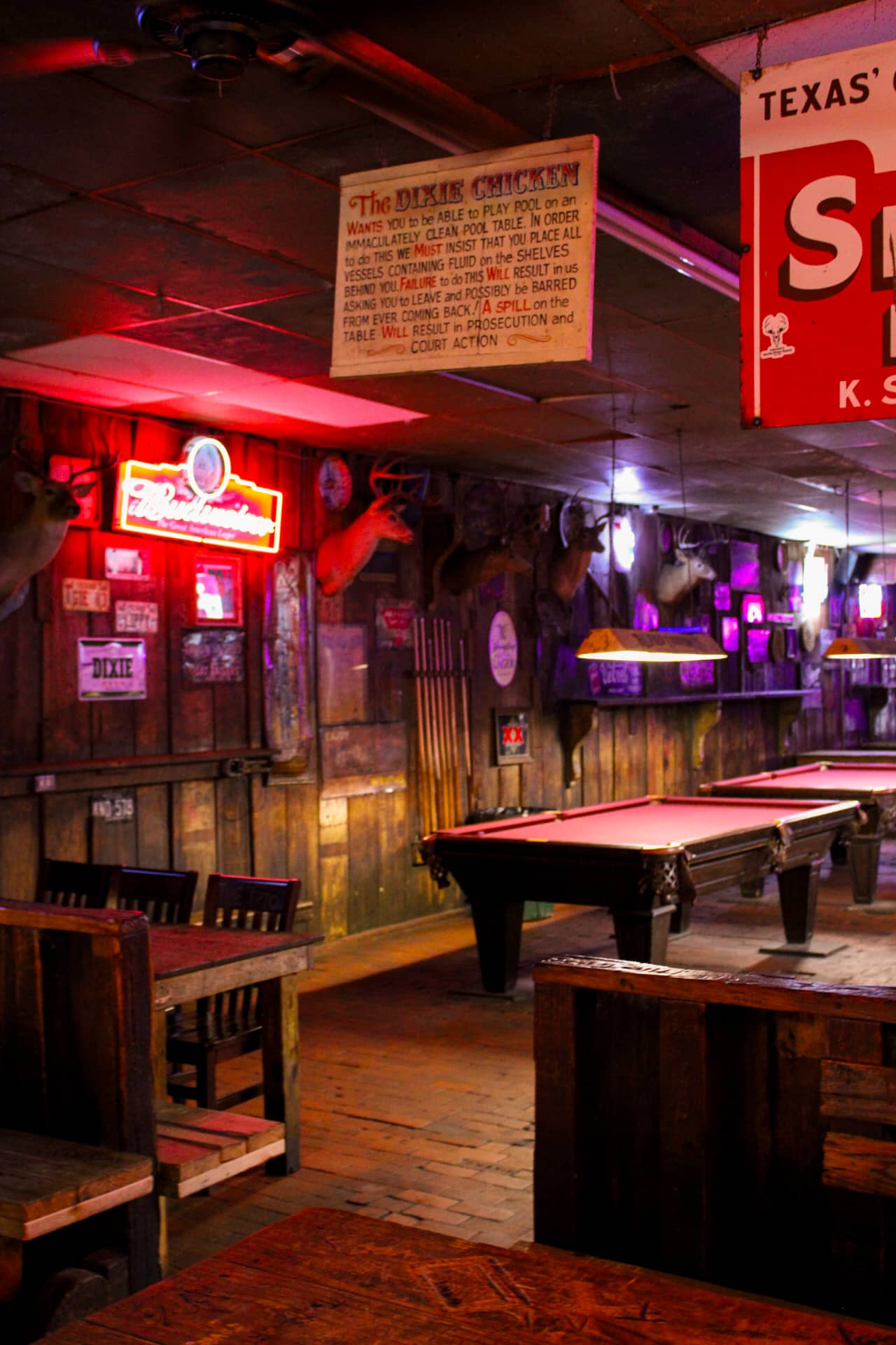 Dixie Chicken - Kendra Hudson