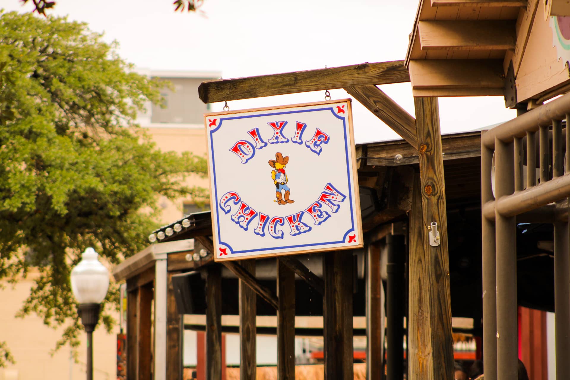 Dixie Chicken - Kendra Hudson